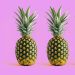 The Pineapple Under Microscope: Microscopic Secrets