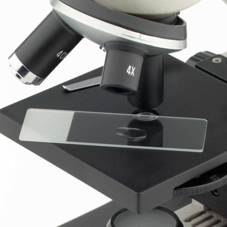 Microscope Slides: Types, Preparation, and Best Practices
