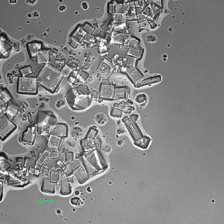 Salt Under Microscope: Unveiling the Beauty of Salt Crystals